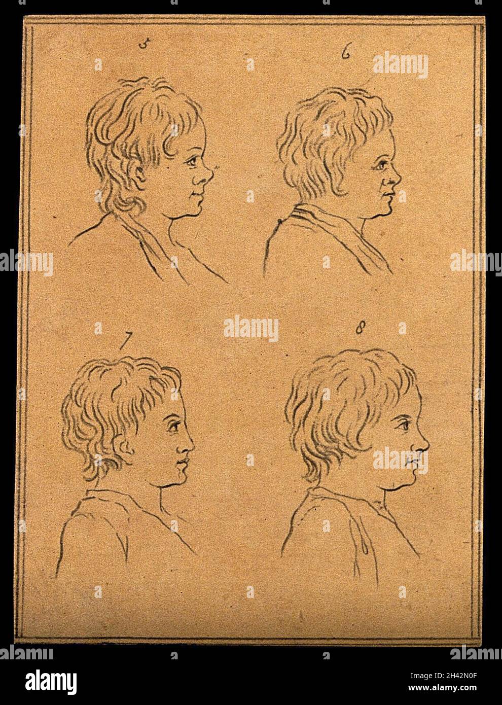 Four heads of boys. Drawing, c. 1793 Stock Photo - Alamy