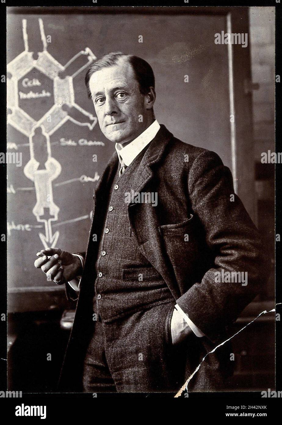 Louis cobbett hi-res stock photography and images - Alamy