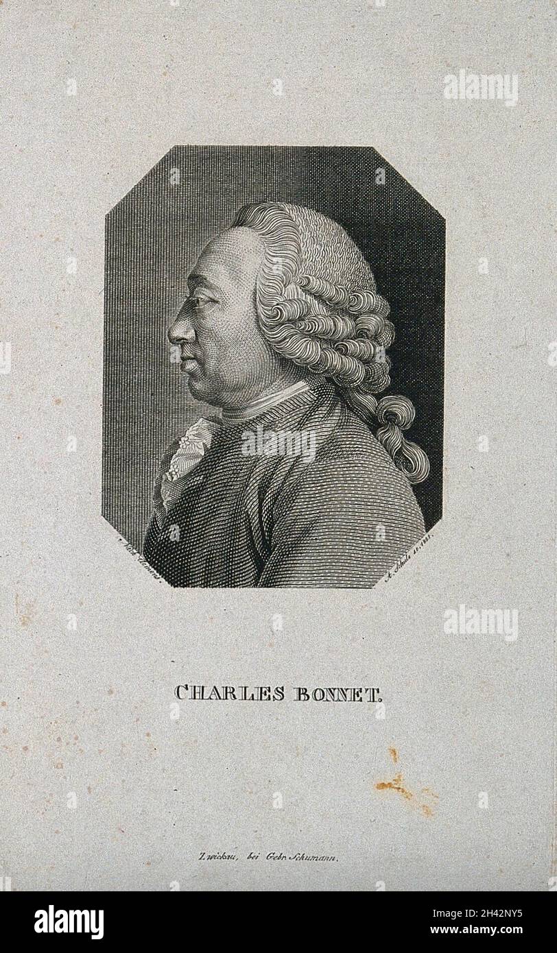 Charles Bonnet. Line engraving by A. Schule after Clemens Stock Photo ...