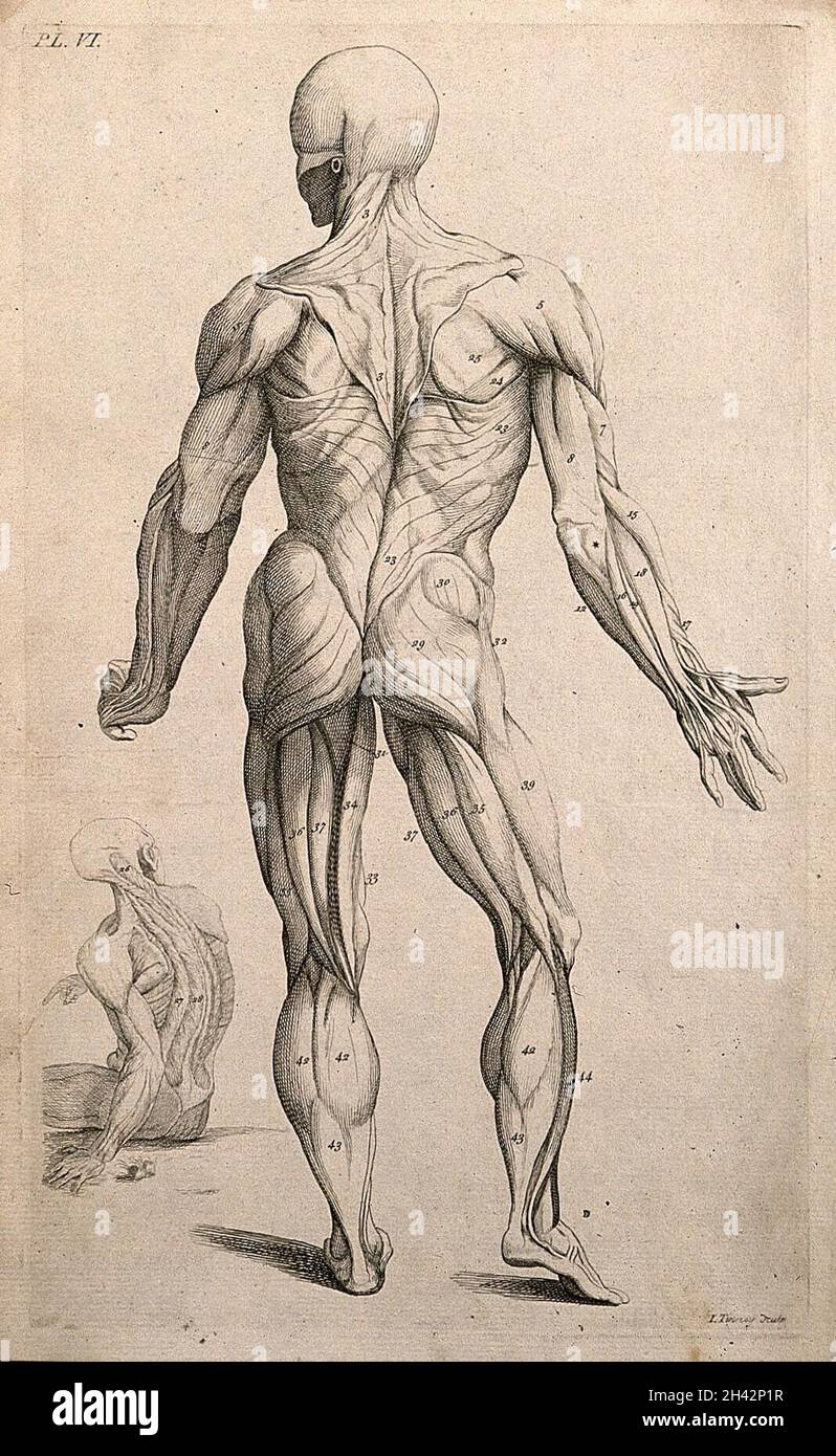 Additional line drawings hi-res stock photography and images - Alamy