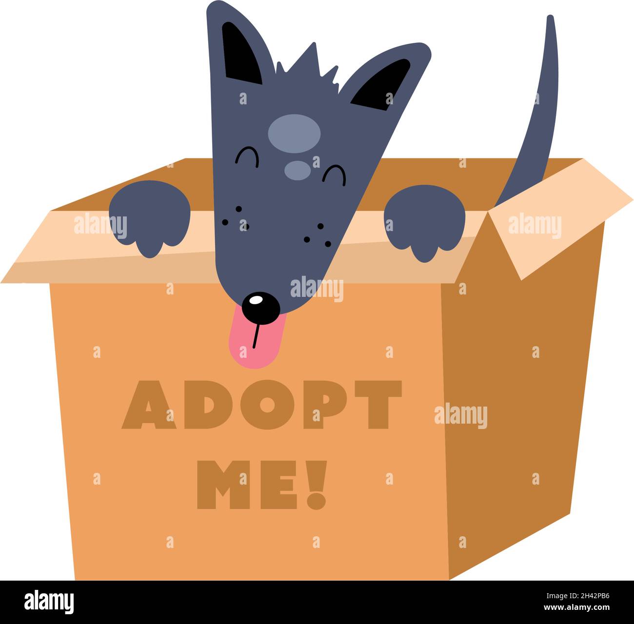 cute dog in box with adopt me label Stock Vector Image & Art - Alamy