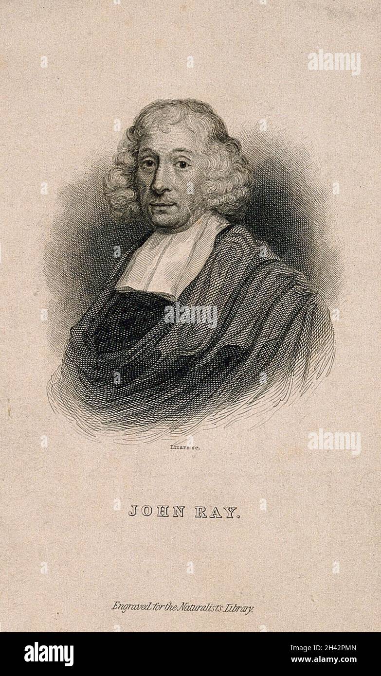 John Ray. Line engraving by W. H. Lizars after Mary Beale Stock Photo ...