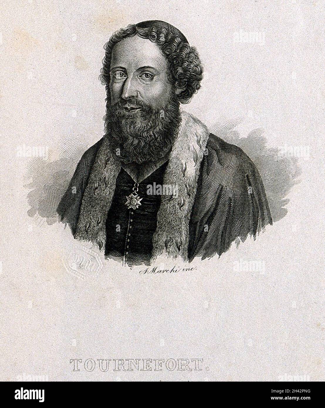 Tournefort hi-res stock photography and images - Alamy