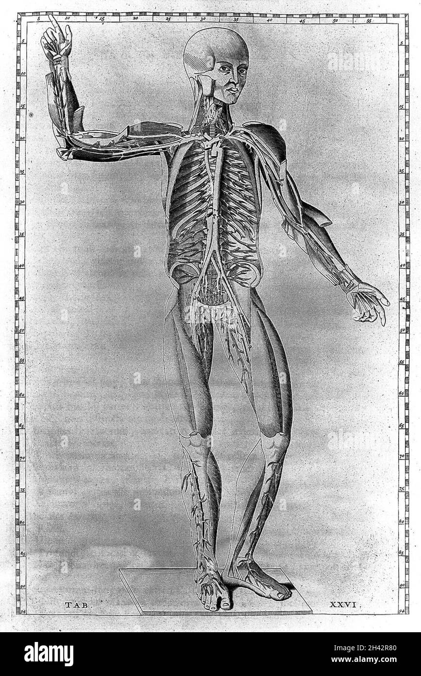 Science study groups Black and White Stock Photos & Images - Alamy