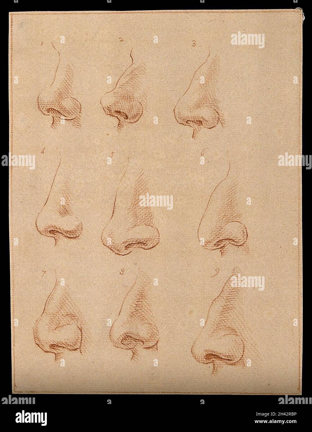 Nose drawing medieval hi-res stock photography and images - Alamy