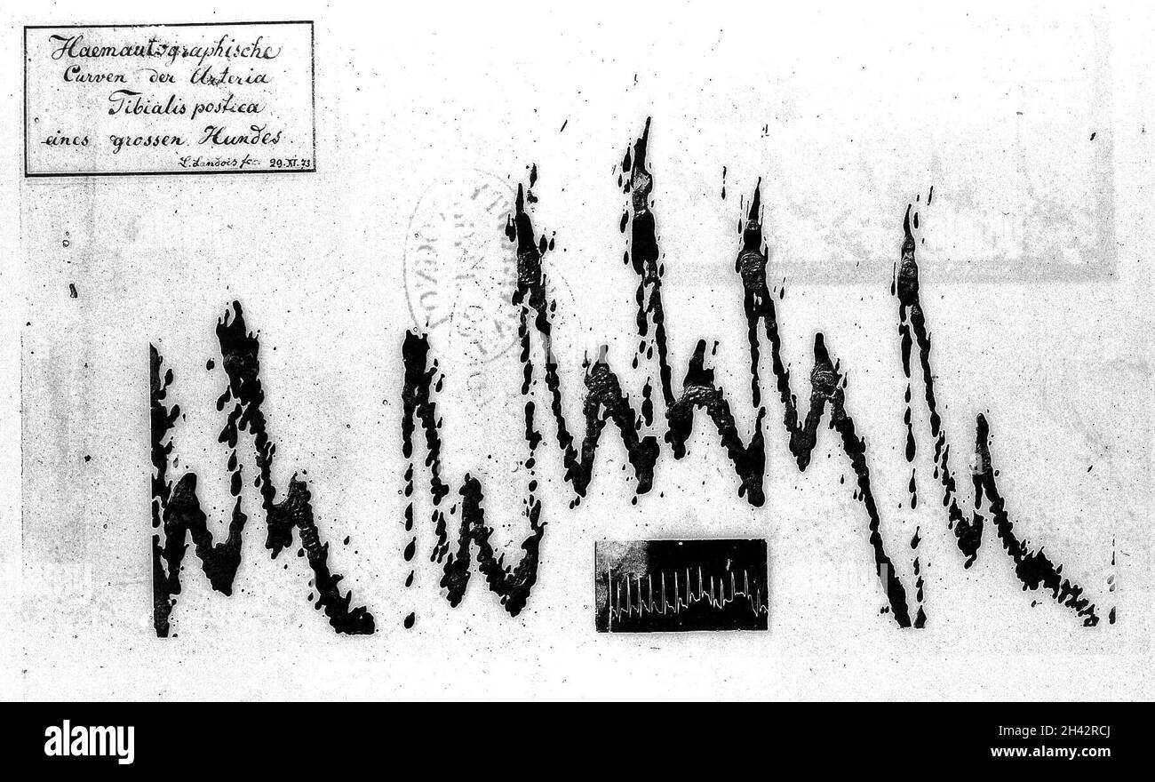 History tracing Black and White Stock Photos & Images - Alamy