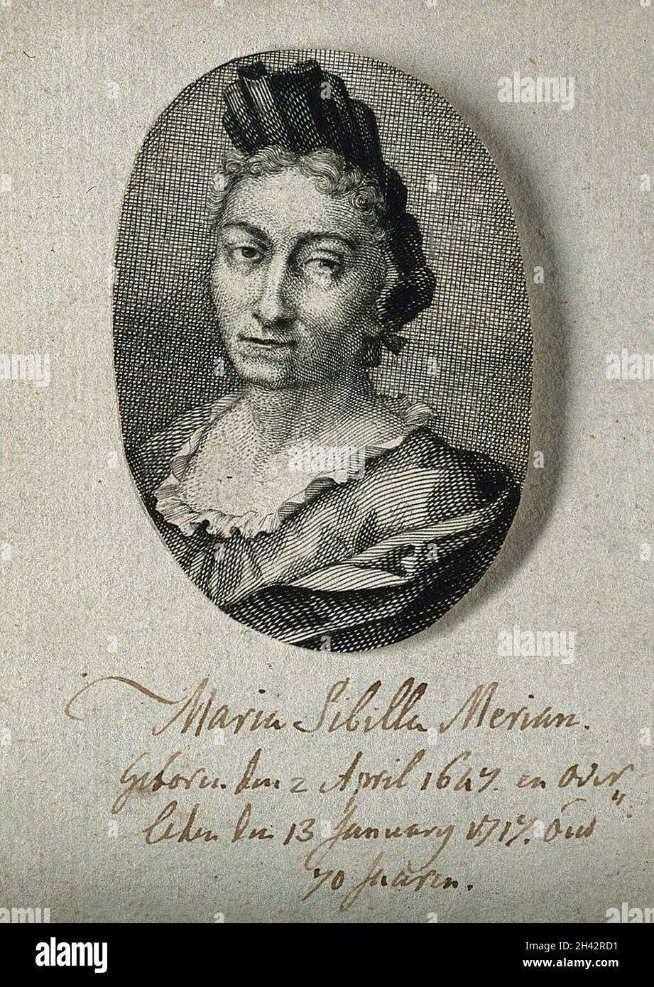 Maria Sybilla Merian. Line engraving Stock Photo - Alamy