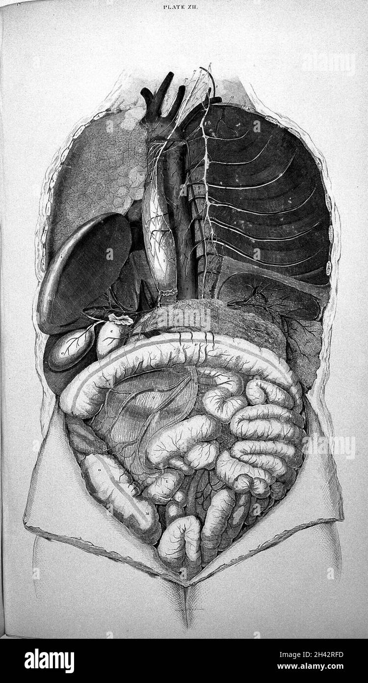 J lizars hi-res stock photography and images - Alamy