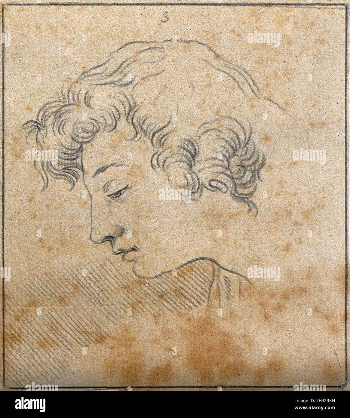 An 'ideal head' shown to have slight idiosyncrasies in physiognomy ...