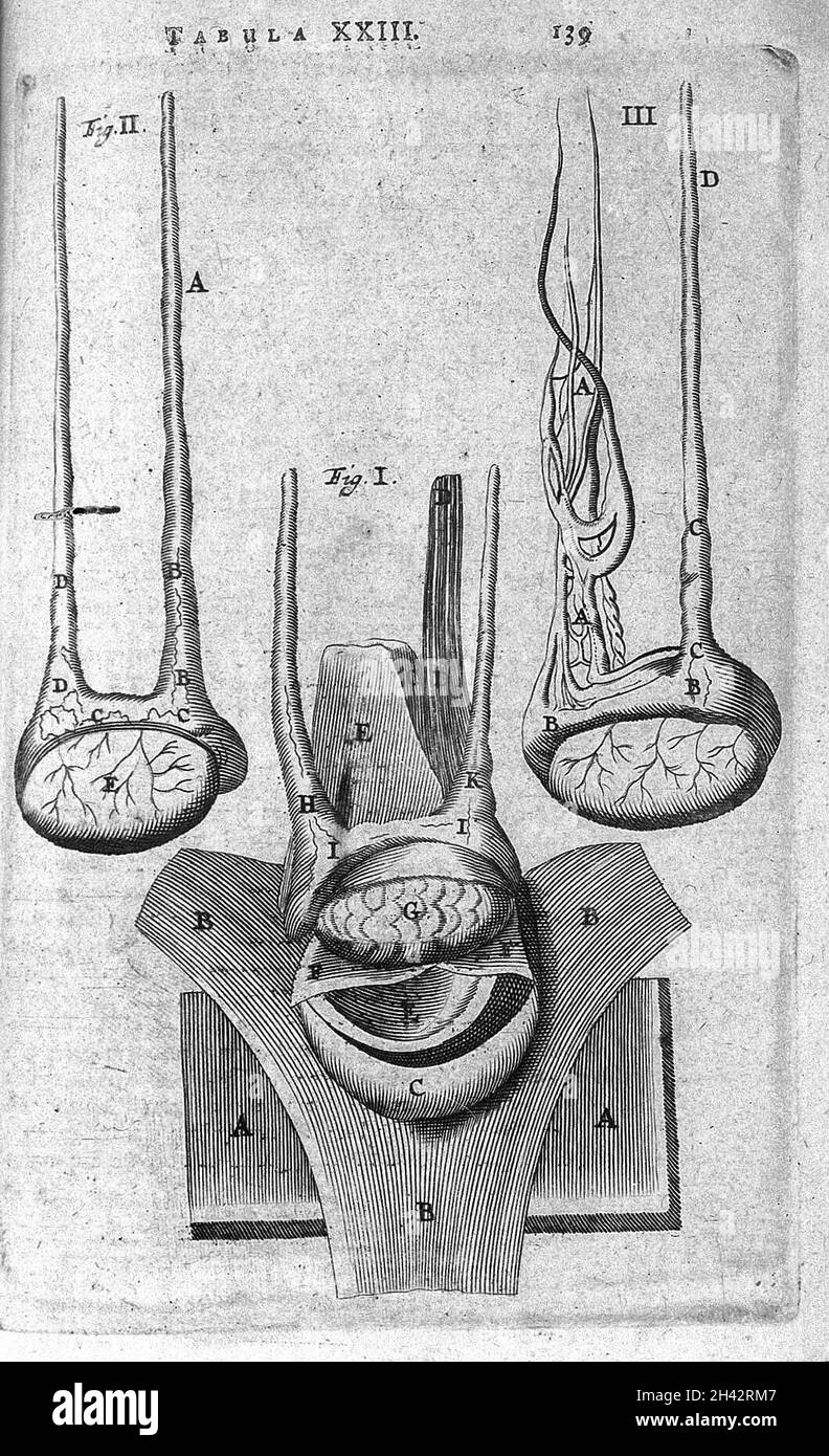 Substantia hi-res stock photography and images - Alamy