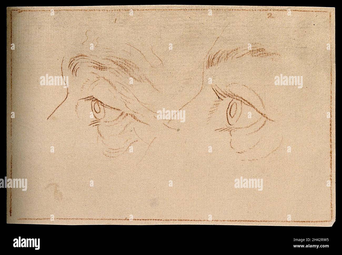 Left eyes of two men. Drawing, c. 1794 Stock Photo - Alamy