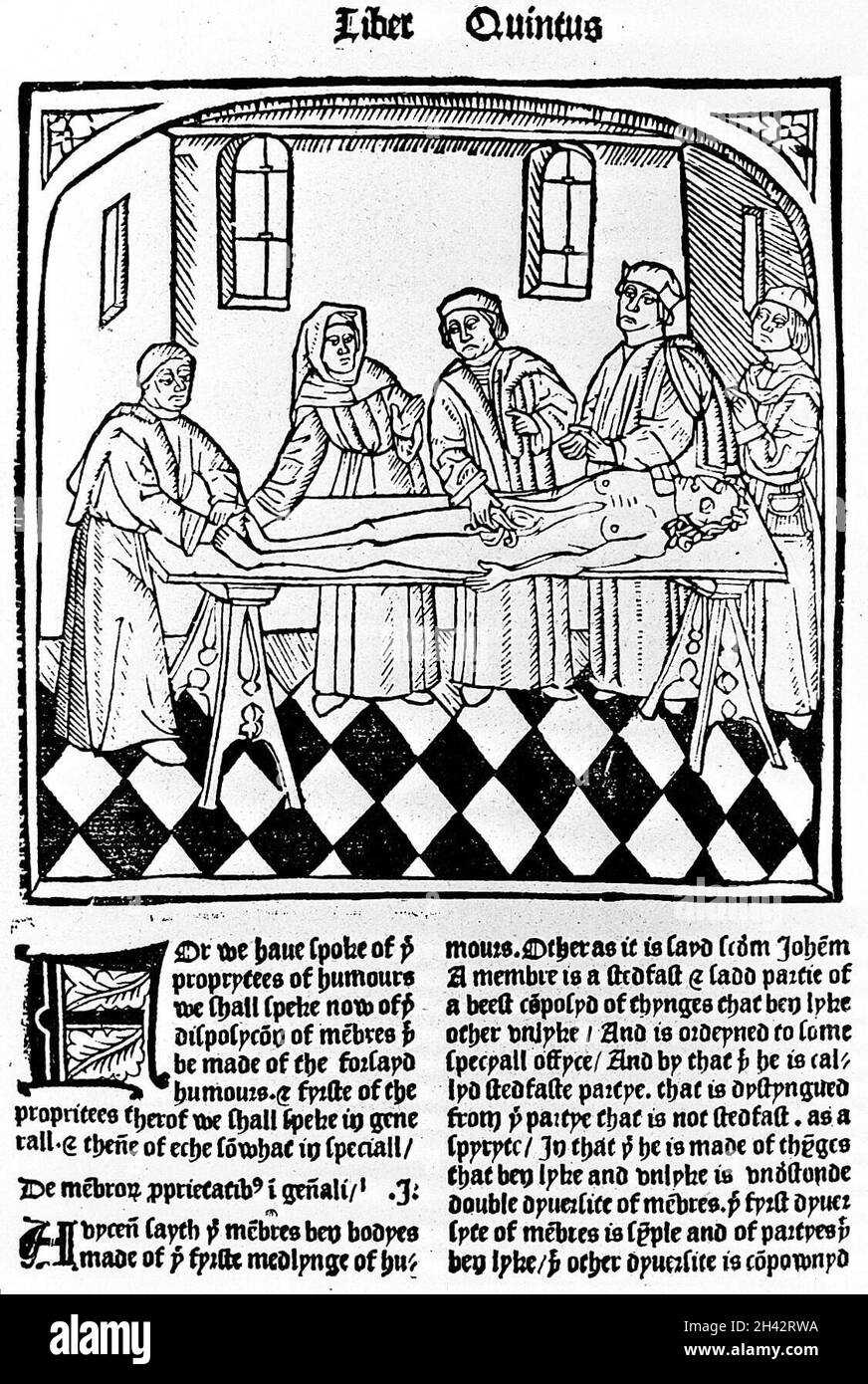 Cadaver dissection illustration hi-res stock photography and images - Alamy