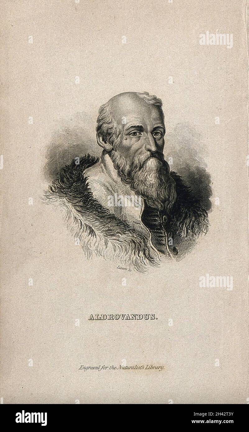 Lizars anatomy hi-res stock photography and images - Alamy