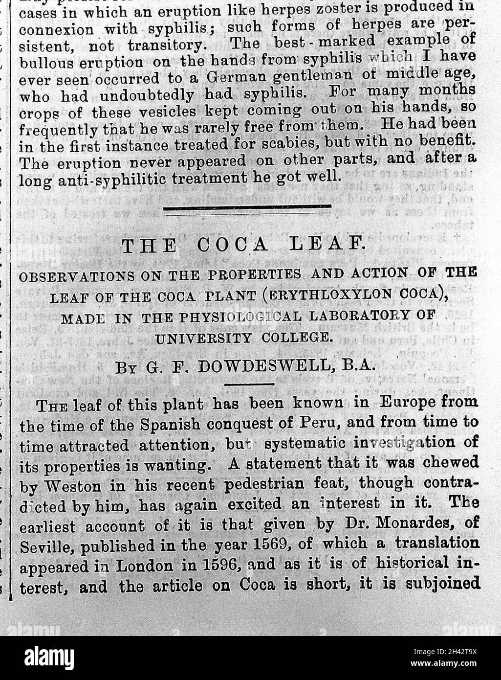 From: Dowdeswell's 'The coca leaf' Stock Photo - Alamy