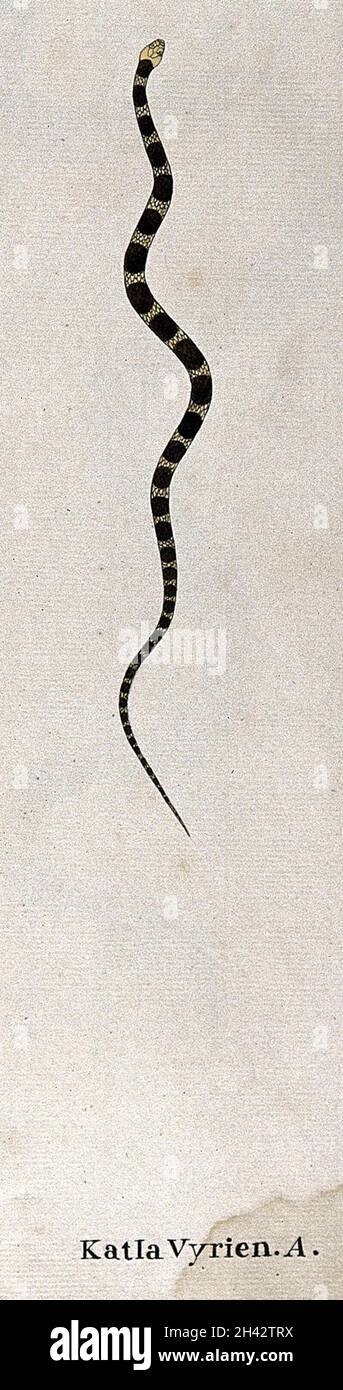 Oval shaped markings hi-res stock photography and images - Alamy