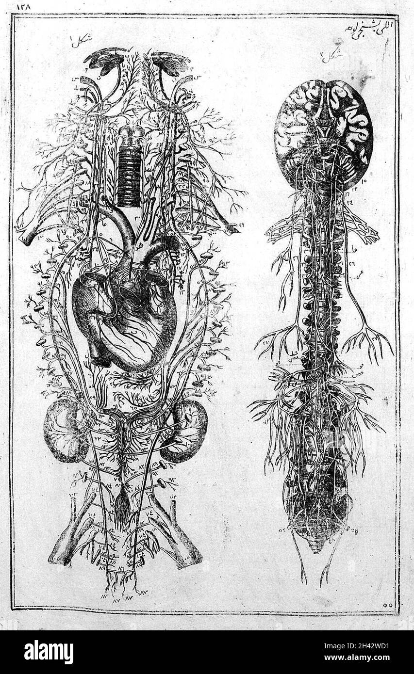 Neurological functions hi-res stock photography and images - Alamy