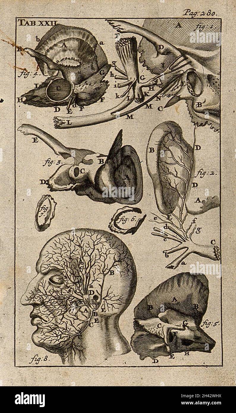 The anatomy of the ear. Engraving, 1686 Stock Photo - Alamy