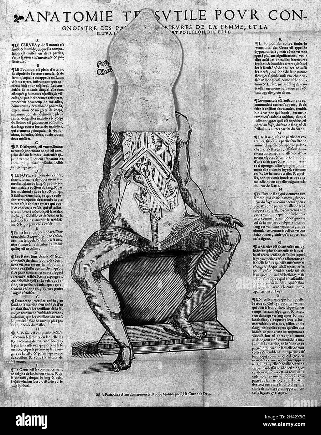 Anatomical tool Black and White Stock Photos & Images - Alamy