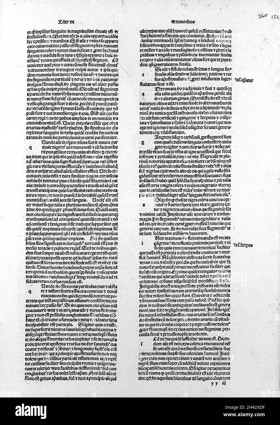 Galen drawing hi-res stock photography and images - Alamy