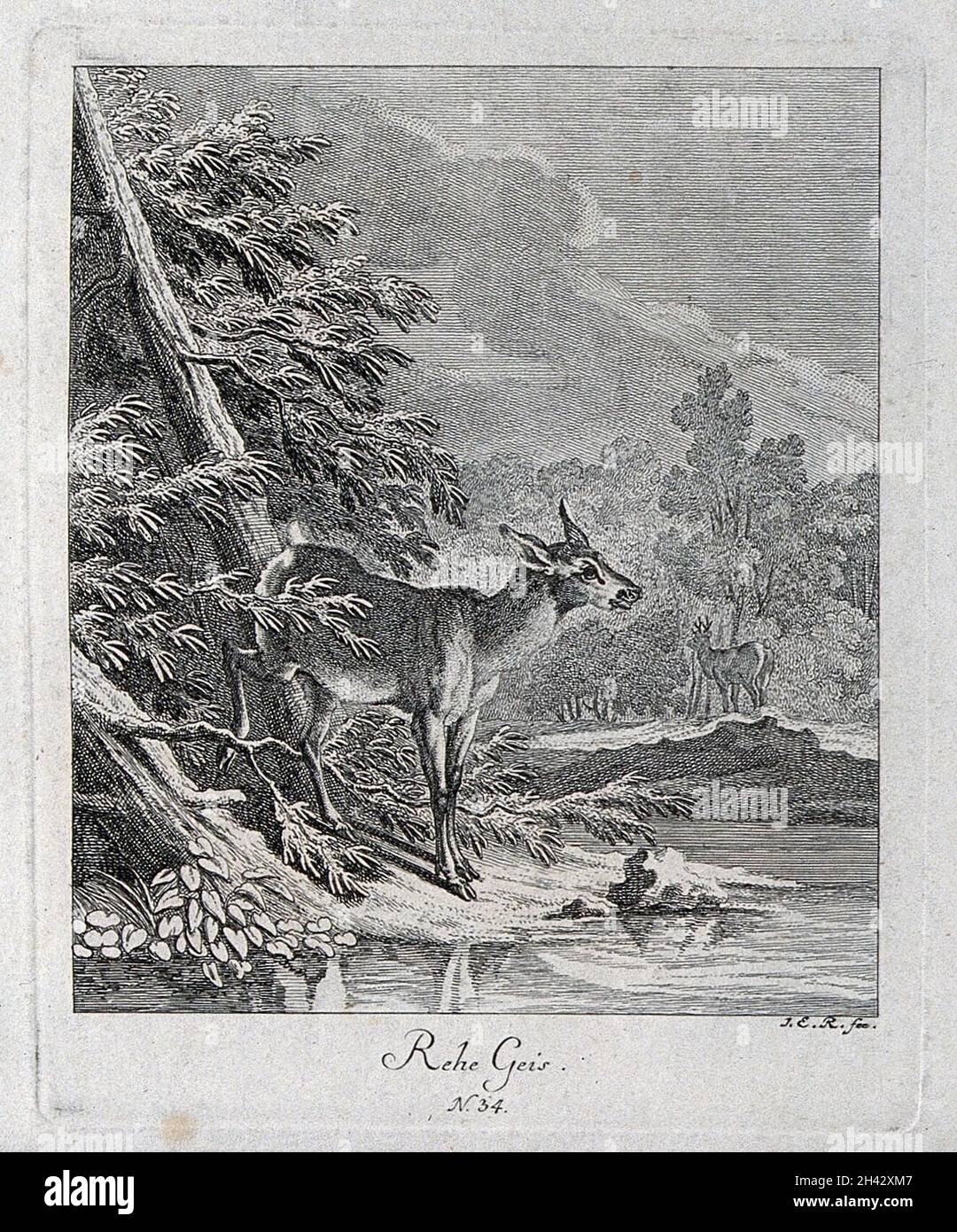 J doe hi-res stock photography and images - Alamy