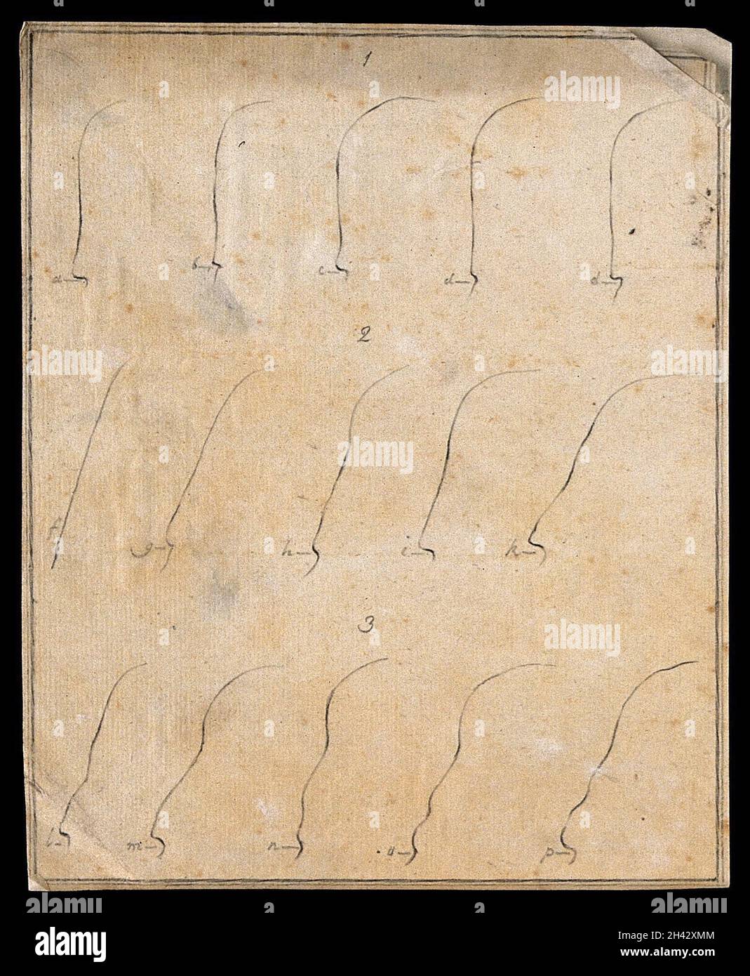 Fifteen contours of foreheads. Drawing, c. 1789 Stock Photo - Alamy