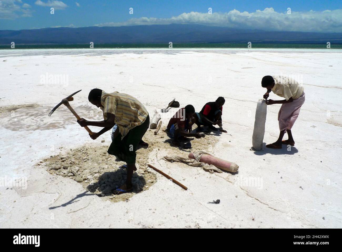 Black workers are mining salt with pickaxes in the white salt flats of ...