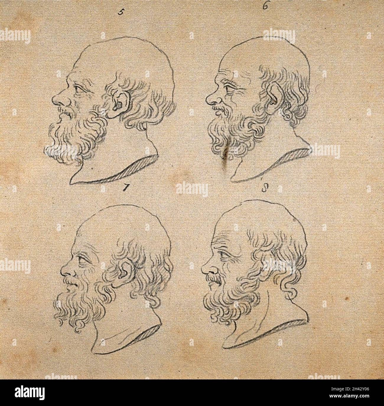 Eight likenesses of Socrates. Two drawings, c. 1789 Stock Photo - Alamy