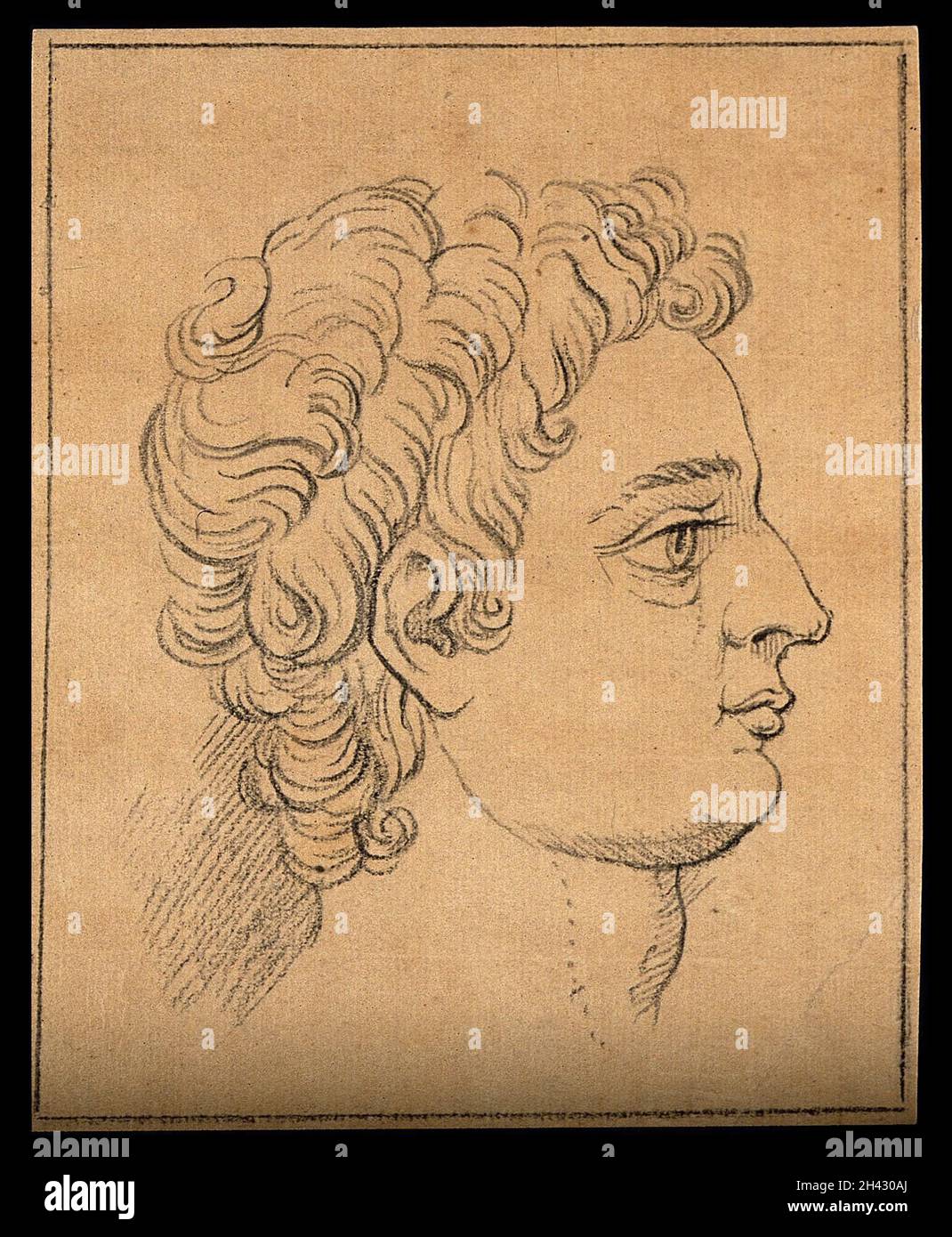 Right profile of a boy exemplifying ancient Greek male beauty. Drawing ...