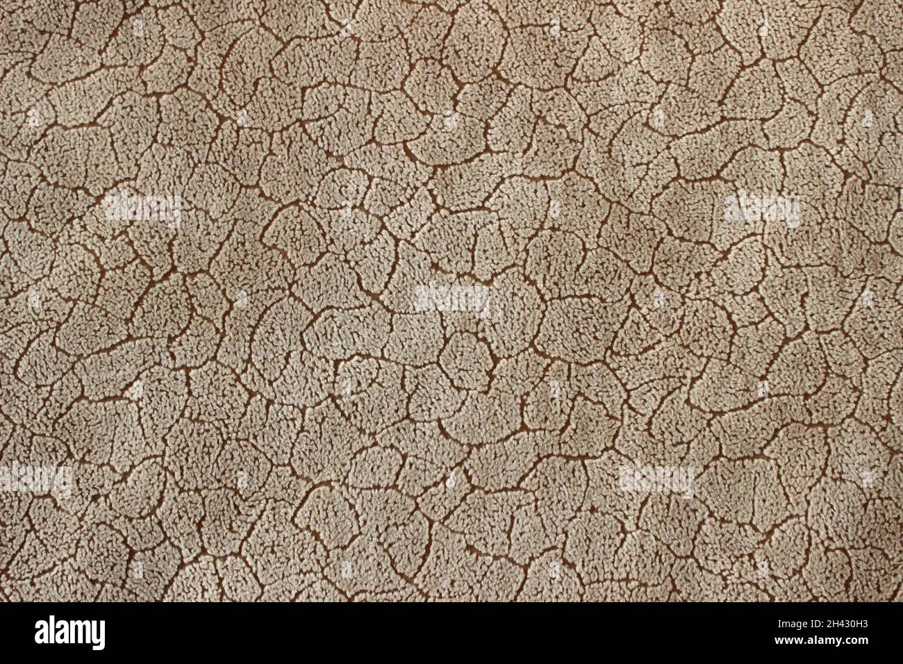 fabric texture. Background of textile texture. Different colors Macro ...