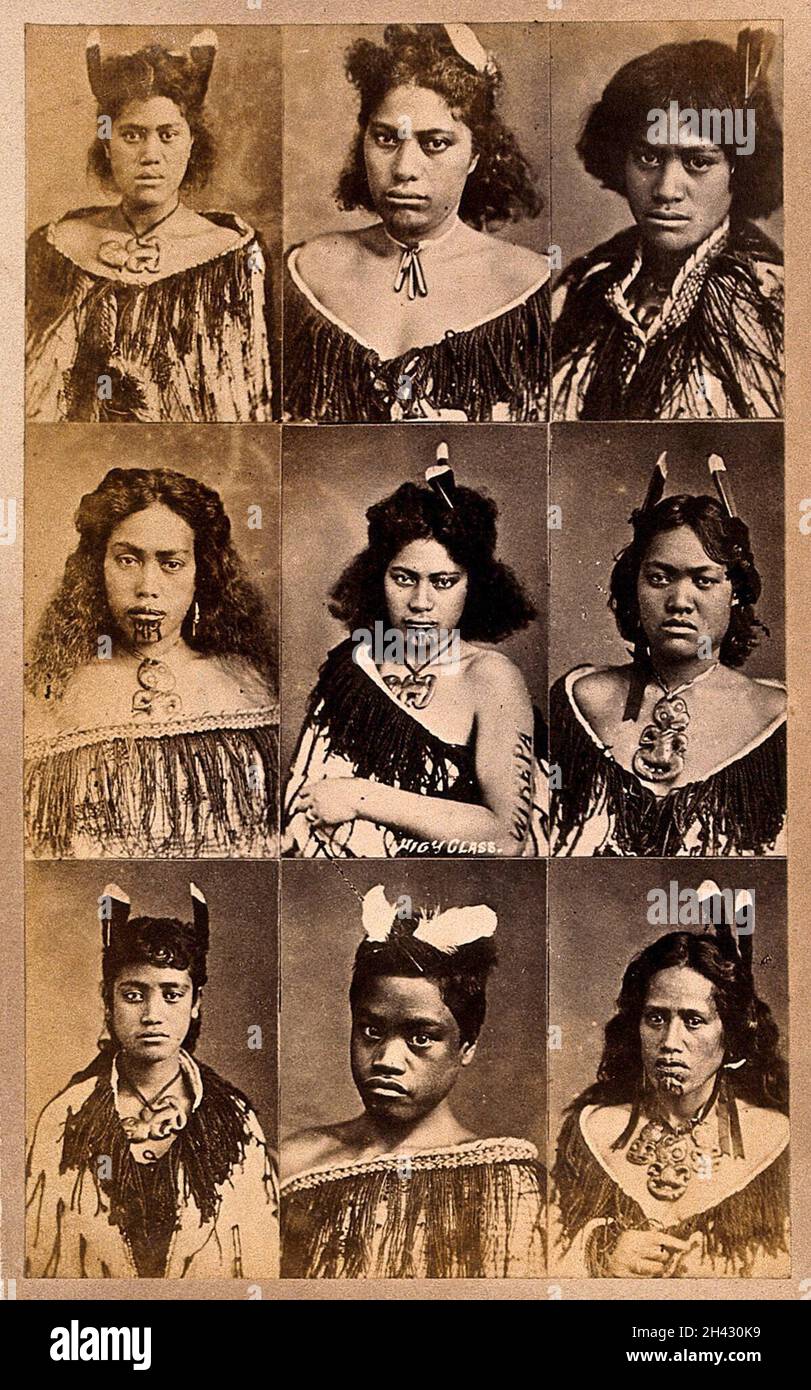 New Zealand: nine individual photos of Maori people. Albumen print ...
