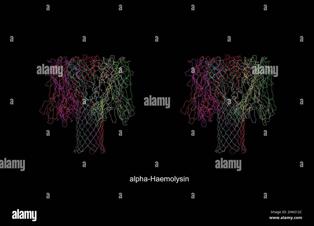 Haemolysin hi-res stock photography and images - Alamy