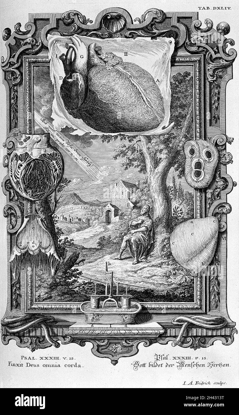 Heart, illustrated as a pumping machine Stock Photo - Alamy