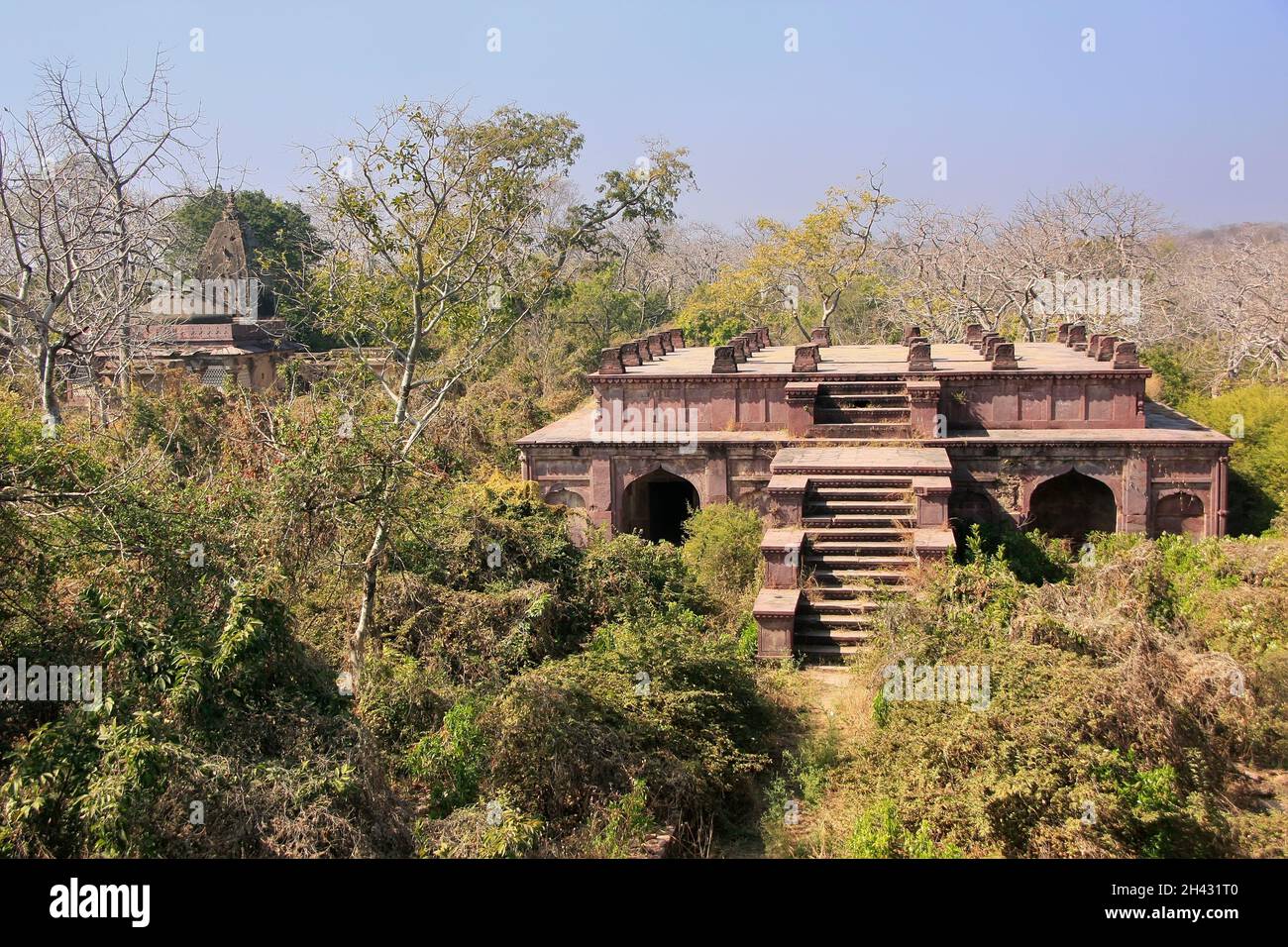 Ranthambore national park palace hi-res stock photography and images ...