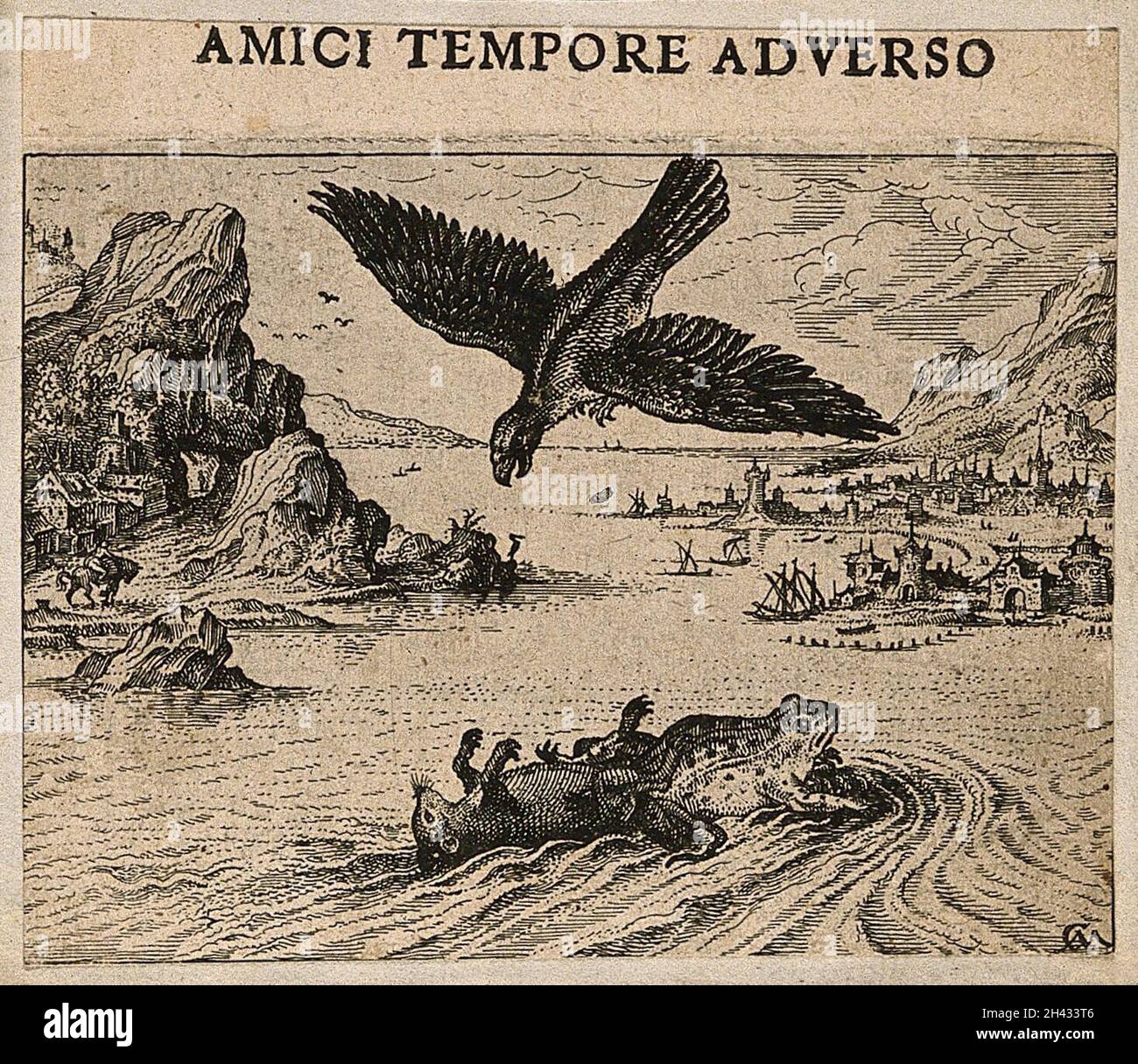 A bird of prey prepares to swoop on a mouse and a frog in water ...