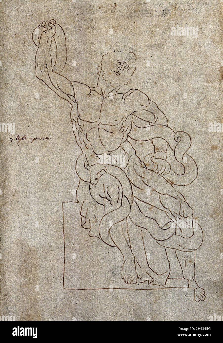 Laocoon. Pen and ink drawing after G. Audran Stock Photo - Alamy