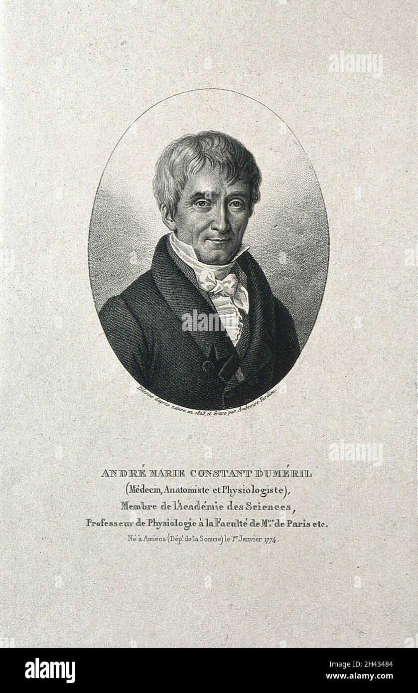Andre marie constant hi-res stock photography and images - Alamy