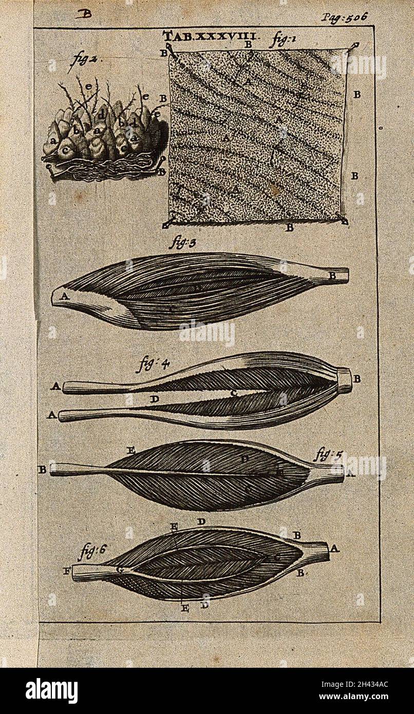 Microscopic Engraving at Natasha Cain blog