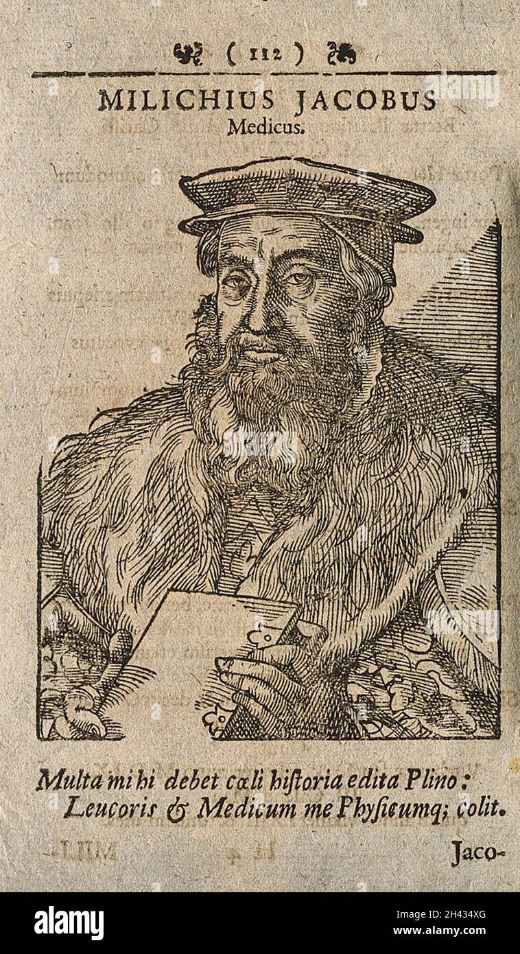 Jacob Milich. Woodcut Stock Photo - Alamy