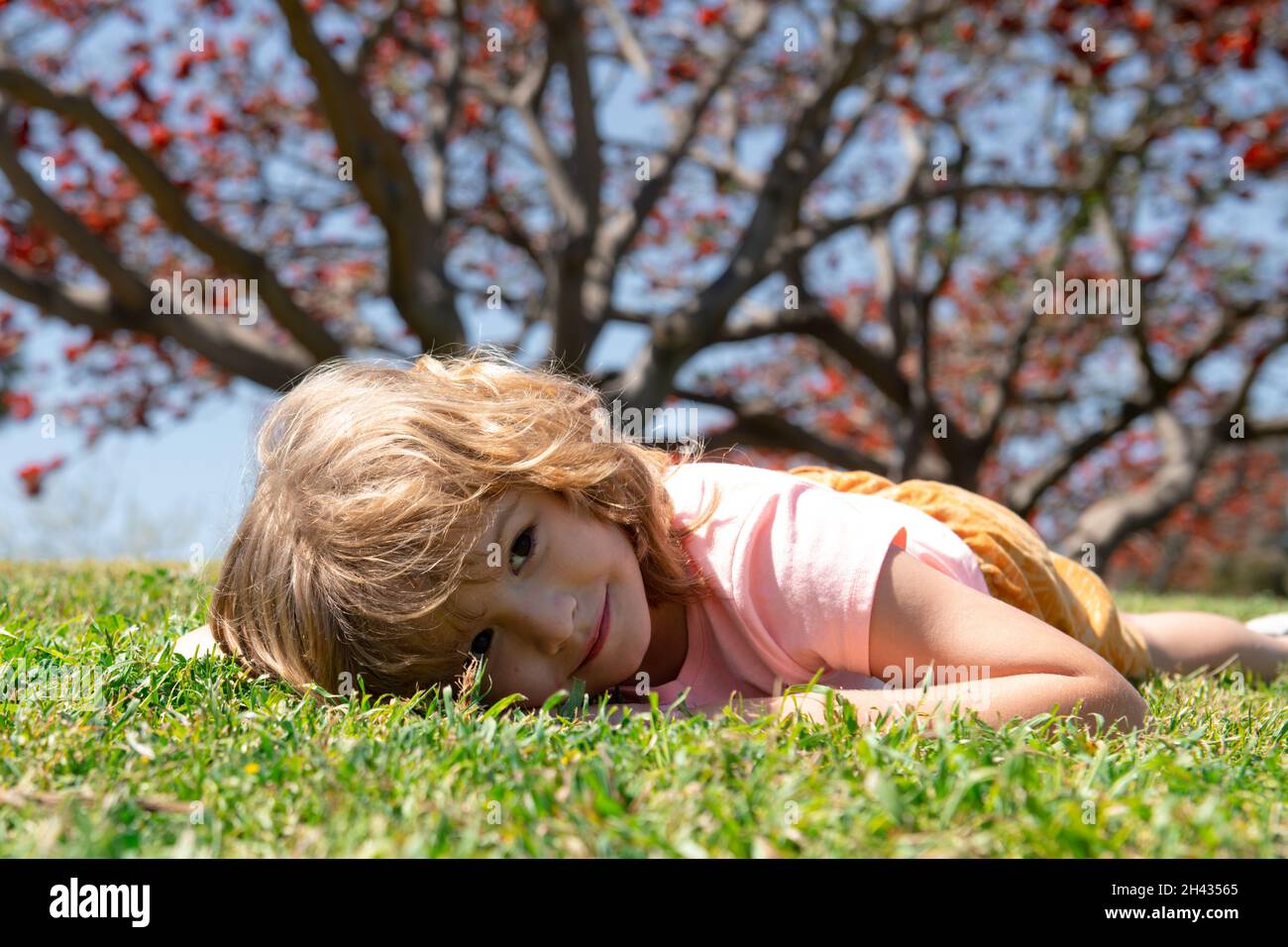 Boy laying in the leaves hi-res stock photography and images - Alamy