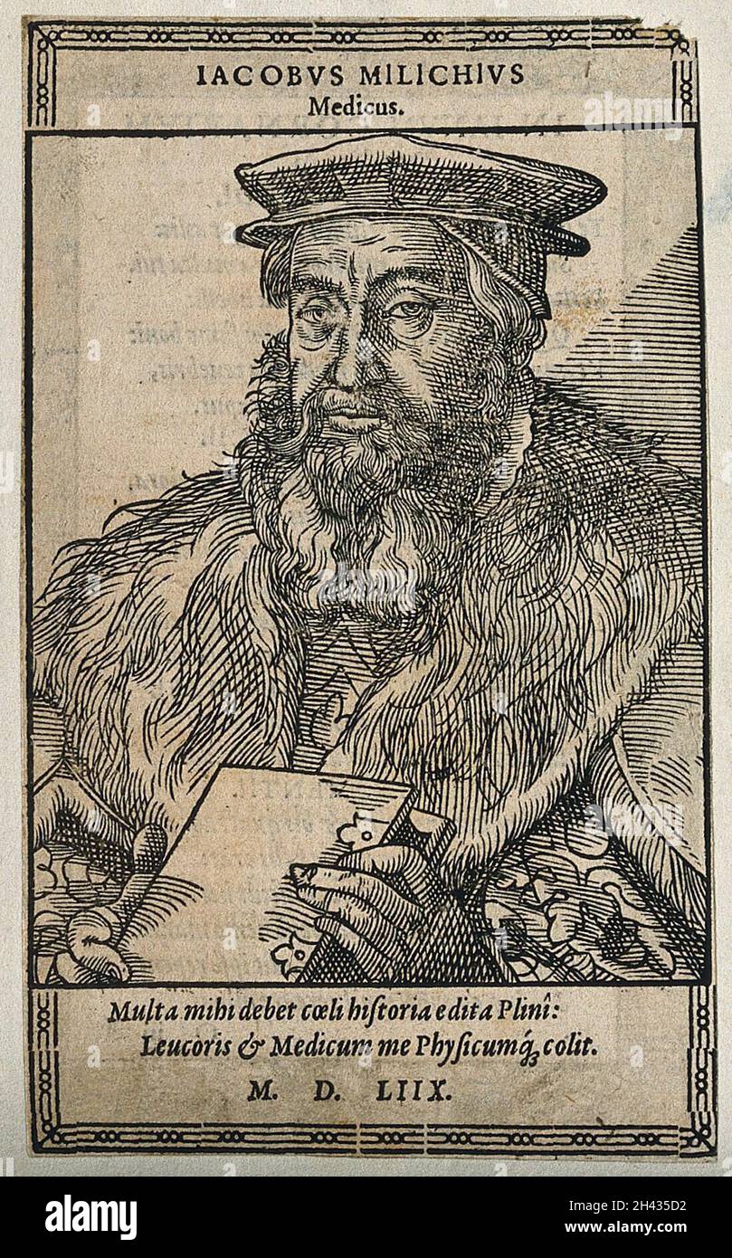 Jacob milich hi-res stock photography and images - Alamy