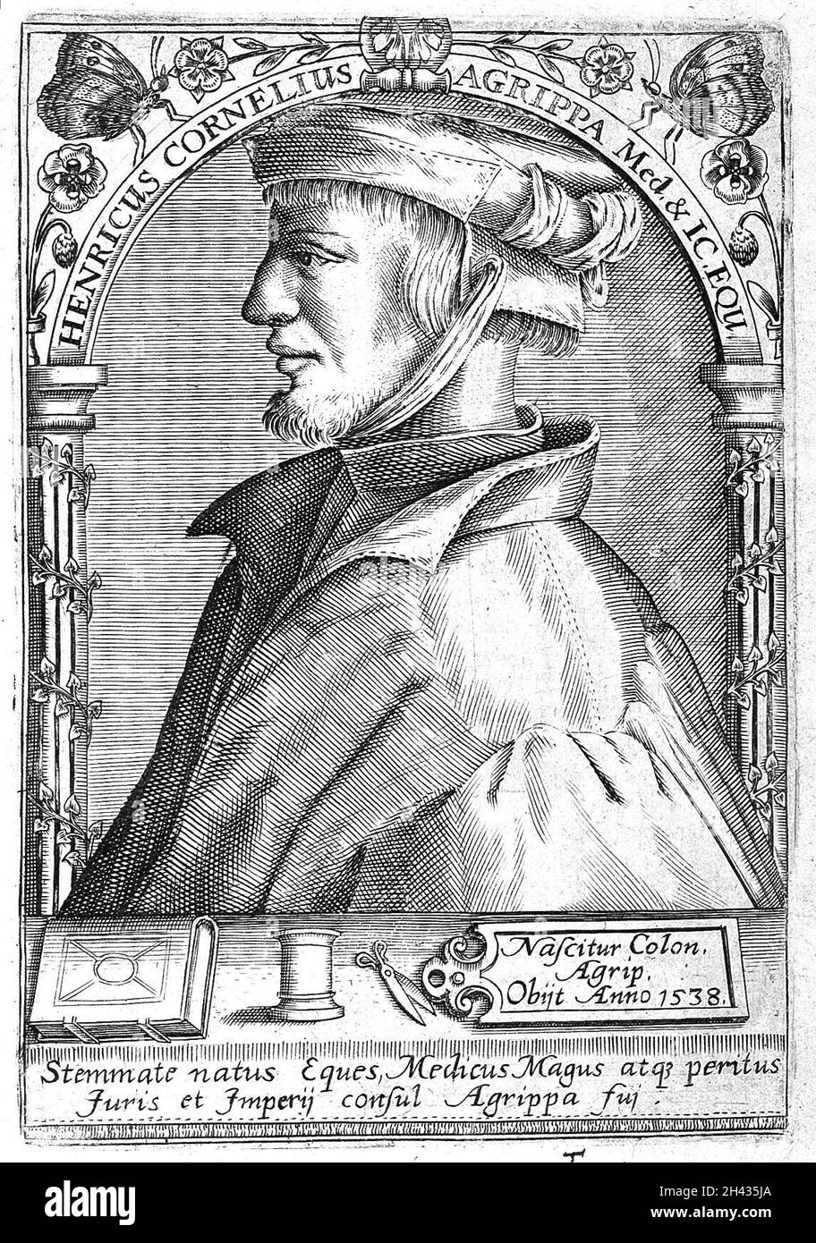 Henricus cornelius hi-res stock photography and images - Alamy