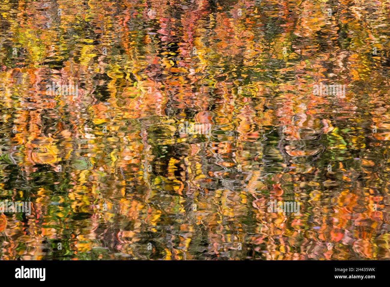 Abstract patterns and colours on the flowing water of a river in Autumn ...