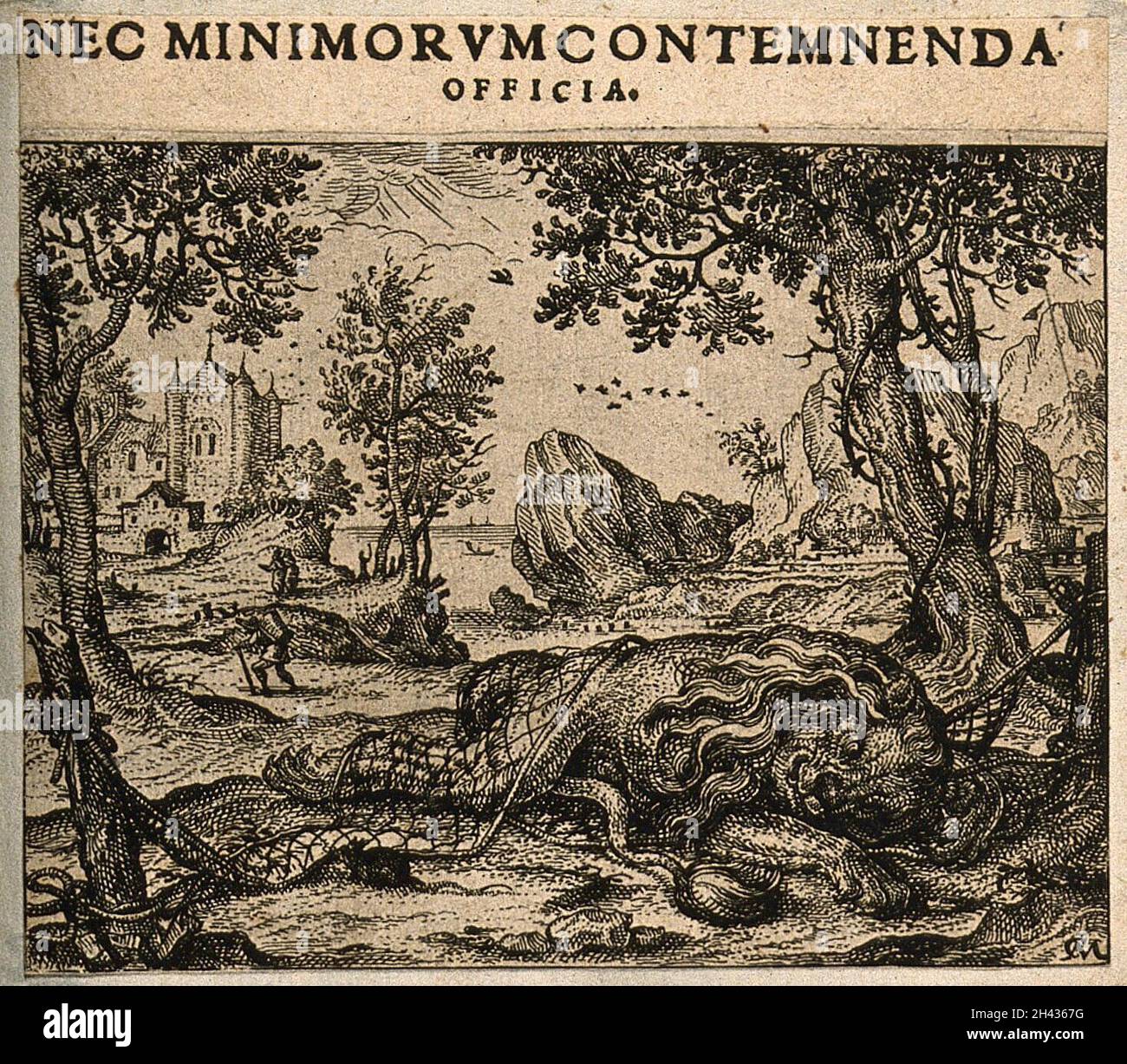 The fable of the lion and the mouse hi-res stock photography and images ...