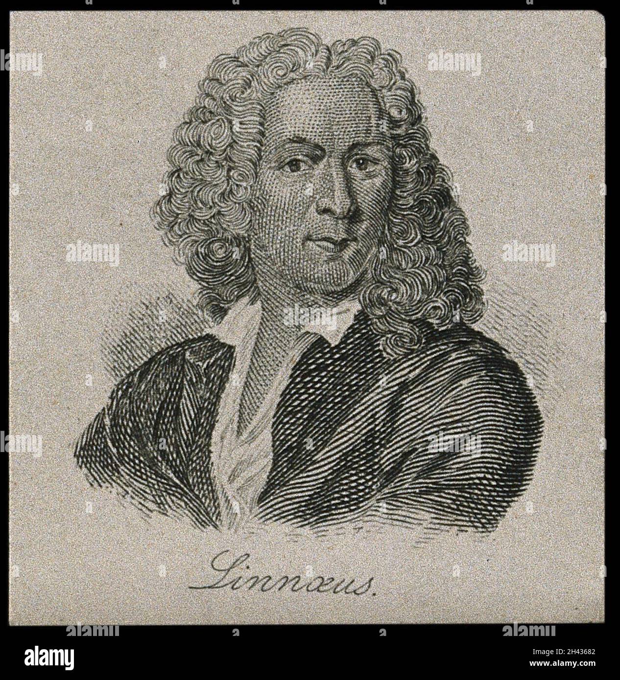 Carolus Linnaeus. Line engraving after Ehrensverd Stock Photo - Alamy