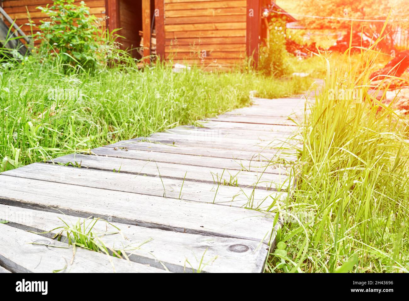 Wooden path at forest. Long track. Pathway hike board Stock Photo - Alamy