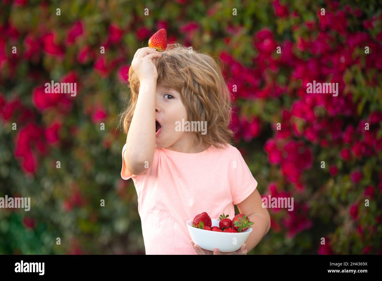 Happy child boy eat strawberry. Lovely funny child eating strawberries ...