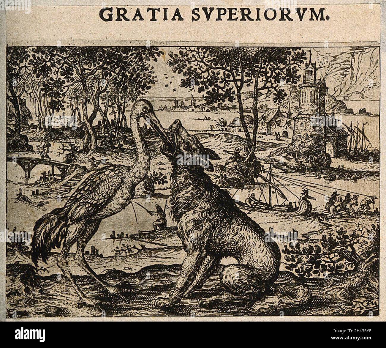 A crane inserts its beak into the mouth of a wolf; illustrating Aesop's ...