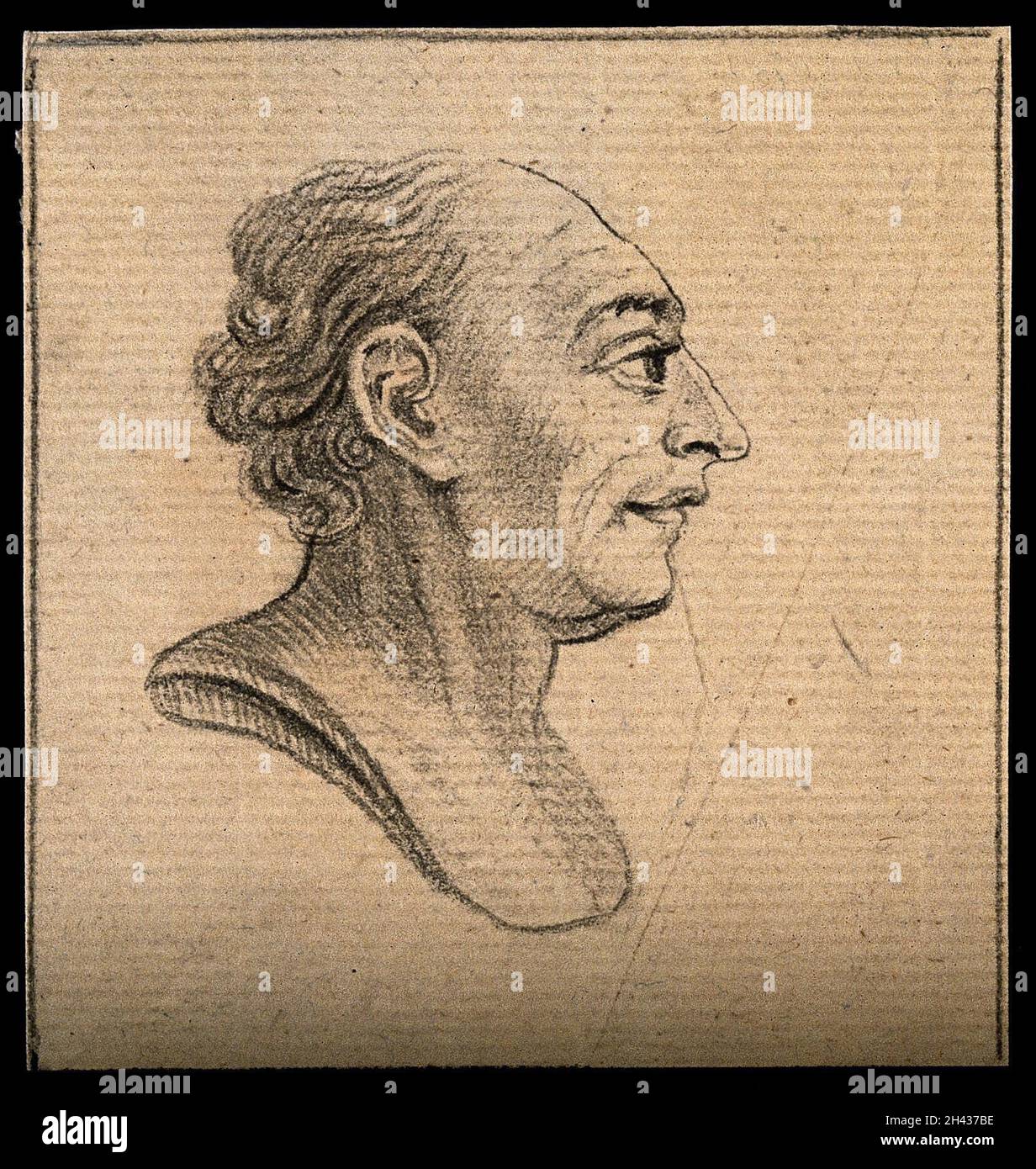 A bust showing a phlegmatic-sanguine temperament. Drawing, c. 1792 ...