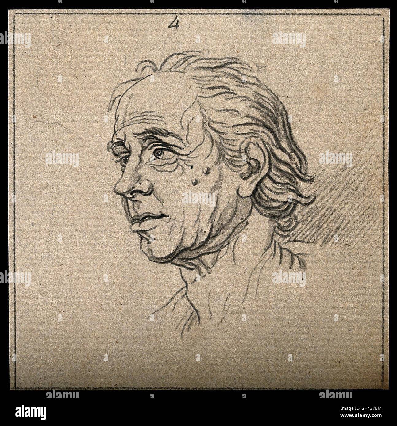The phlegmatic temperament hi-res stock photography and images - Alamy