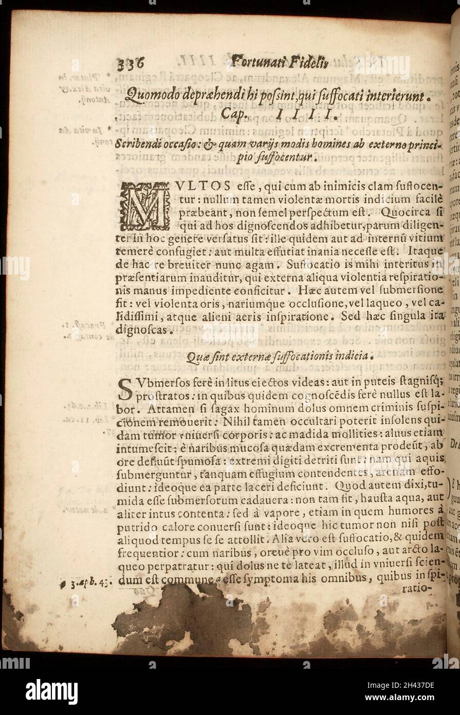 Medicorum hi-res stock photography and images - Alamy